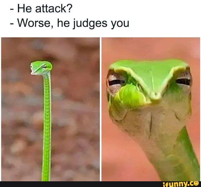Judges memes. Best Collection of funny Judges pictures on iFunny