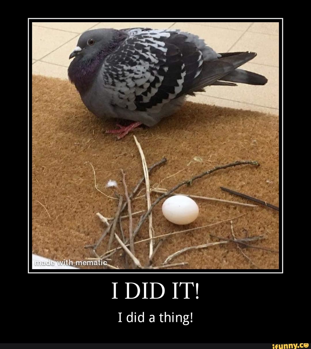 DID IT! I did a thing! - iFunny