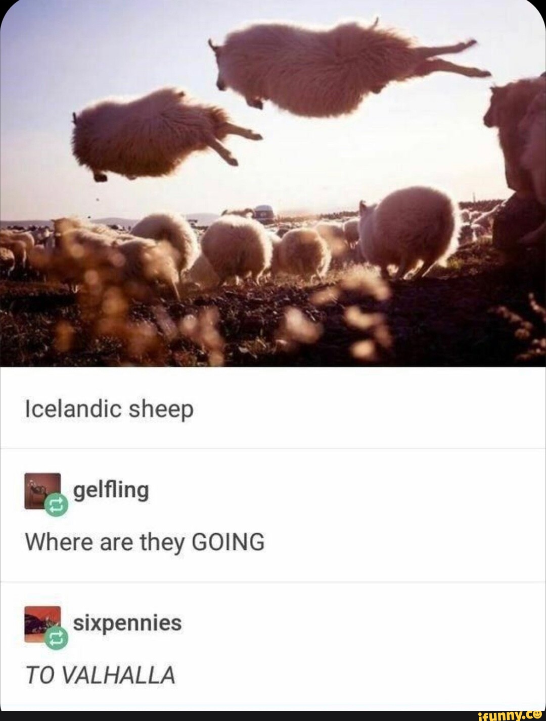 Valhalla memes. Best Collection of funny Valhalla pictures on iFunny