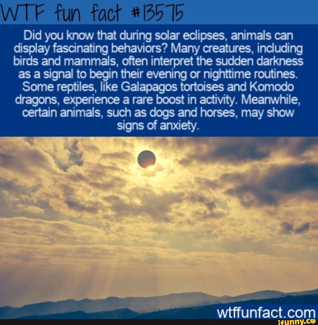 Did you know that during solar eclipses, animals can display ...