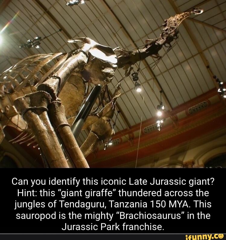 Can you identify this iconic Late Jurassic giant? Hint: this "giant ...