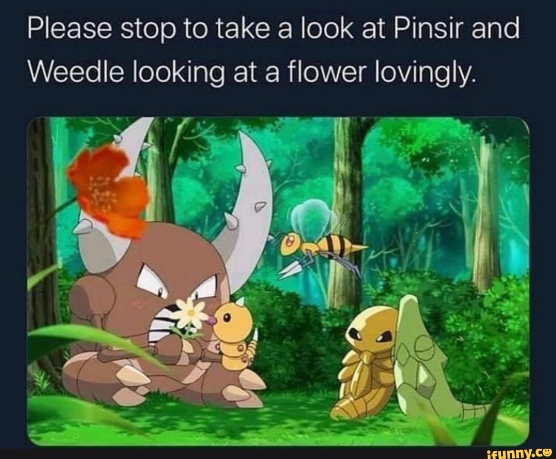 Please stop to take a look at Pinsir and Weedle looking at a flower ...