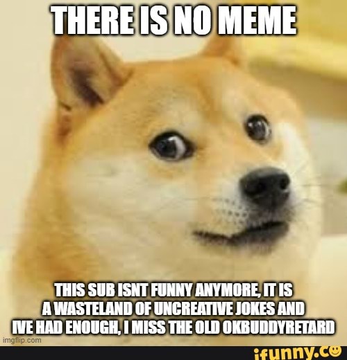 THERE IS NO MEME THIS SUB ISNT FUNNY ANYMORE, IT IS A WASTELAND OF ...