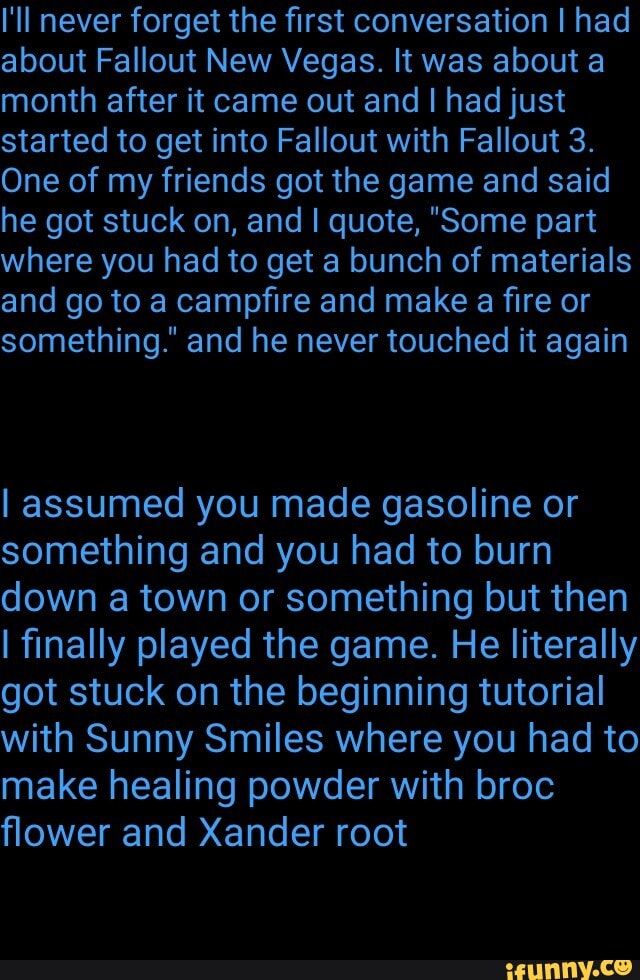 I'll never forget the first conversation I had about Fallout New Vegas ...