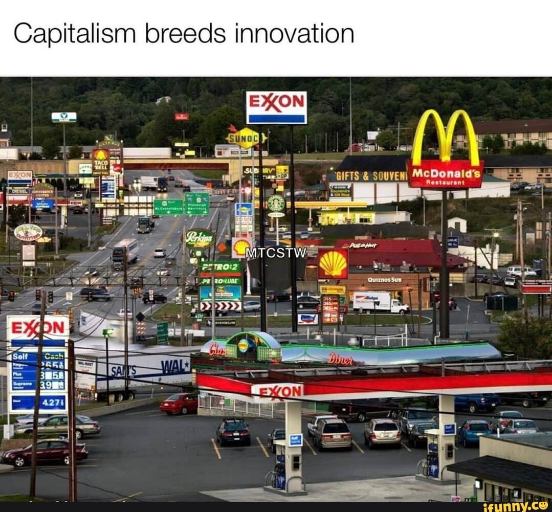 Breeds memes. Best Collection of funny Breeds pictures on iFunny