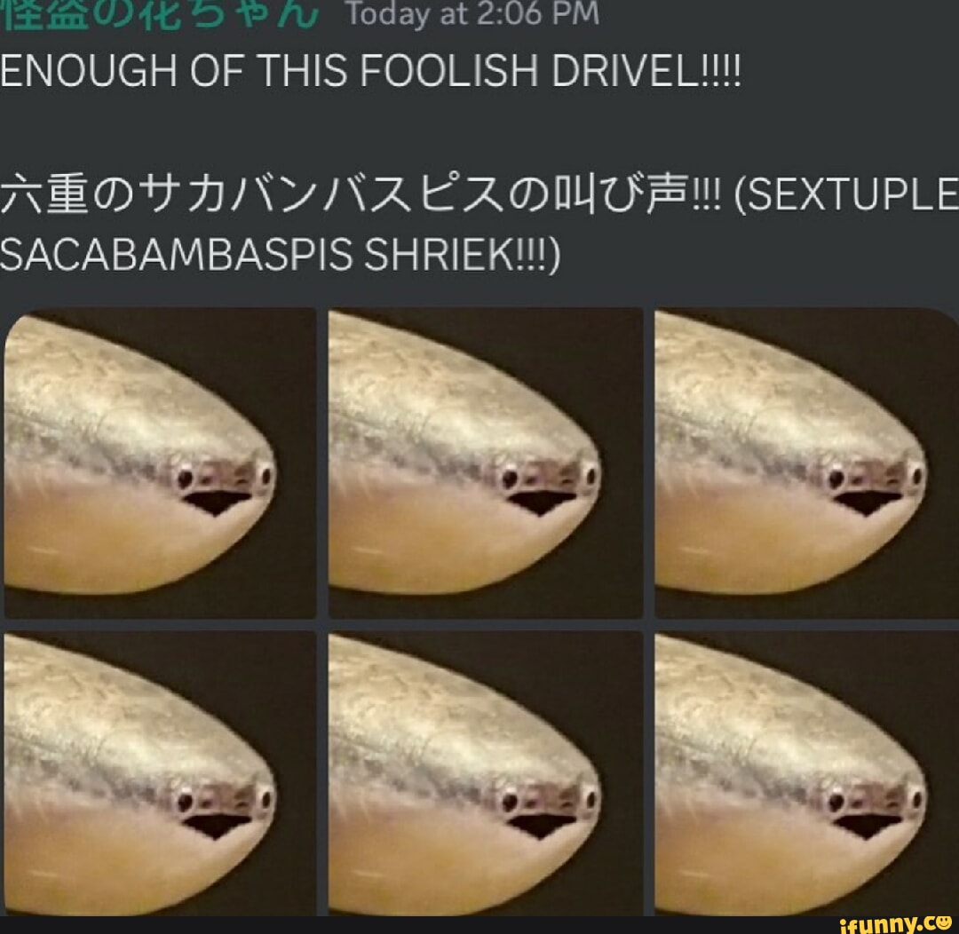 Sacabambaspis memes. Best Collection of funny Sacabambaspis pictures on ...