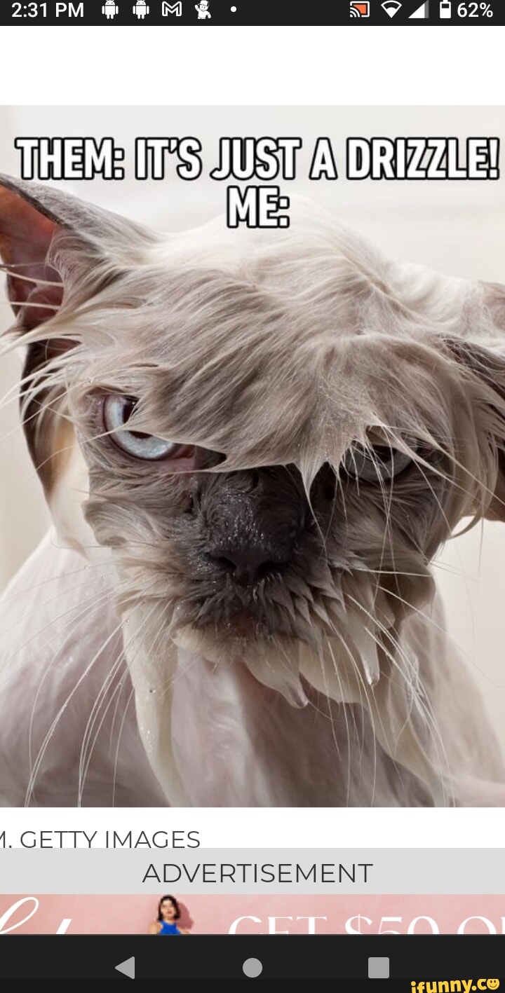 Drizzle memes. Best Collection of funny Drizzle pictures on iFunny