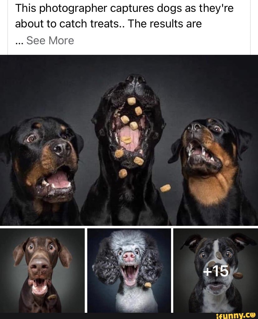 Video memes SuV9OmW88 by Rembestgirl360: 0.6K comments - )