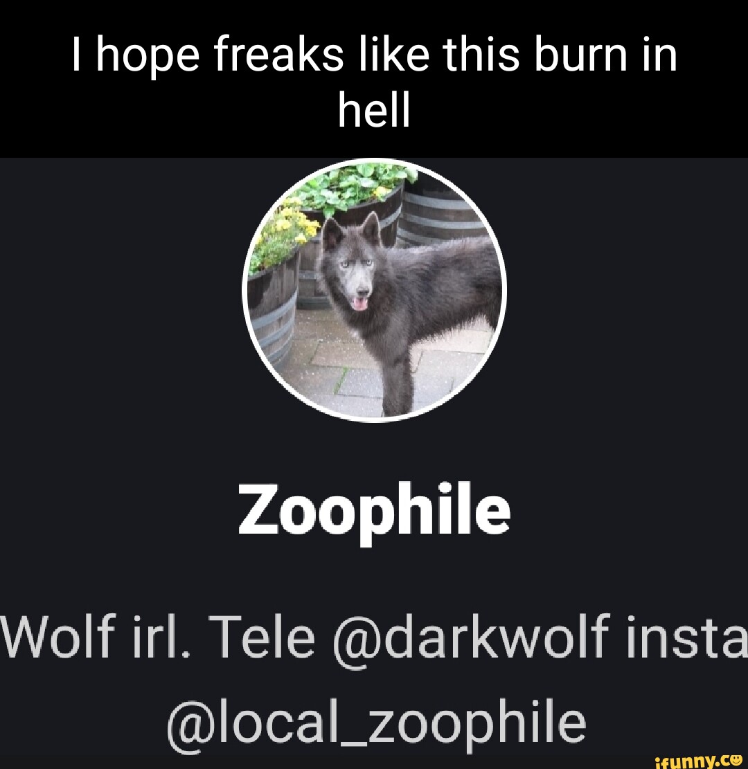 Freaks memes. Best Collection of funny Freaks pictures on iFunny