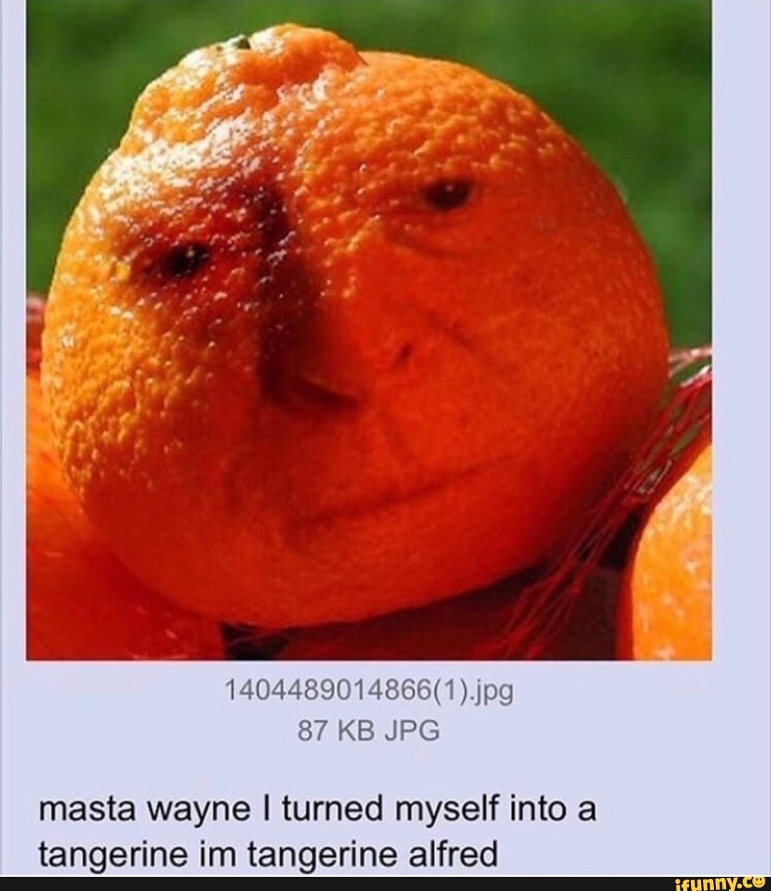 Masta wayne I turned myself into a tangerine im tangerine alfred - iFunny