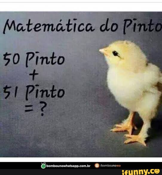 Metemácico do Pinto - iFunny Brazil