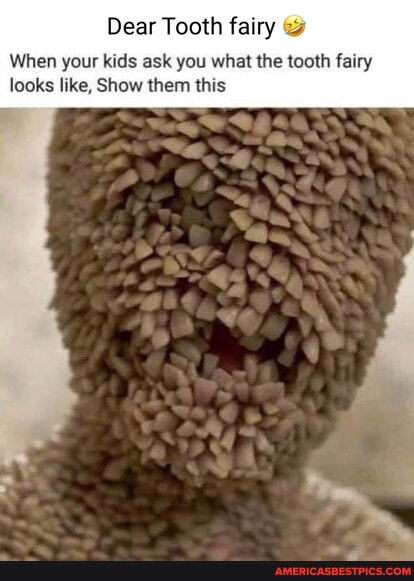 Dear Tooth fairy When your kids ask you what the tooth fairy looks like ...
