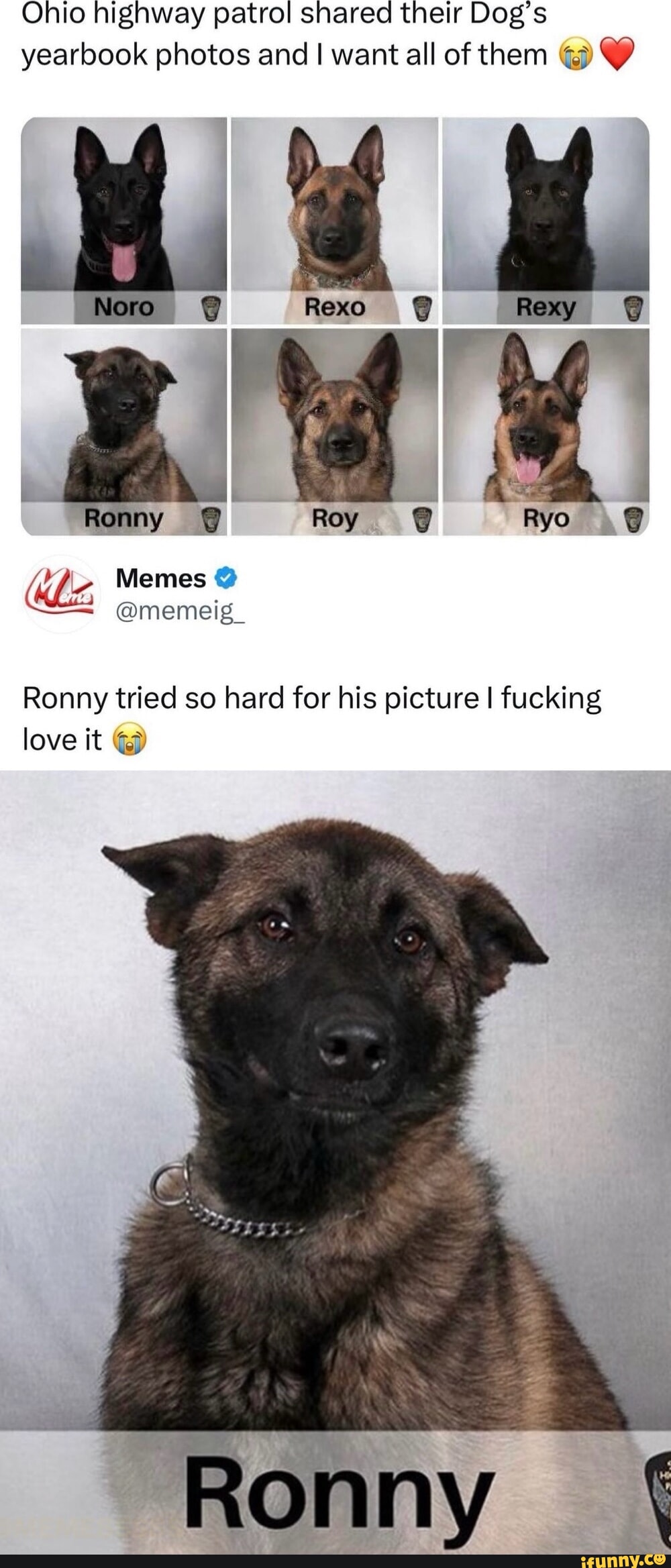 Ohio highway patrol shared their Dog's yearbook photos and I want all ...