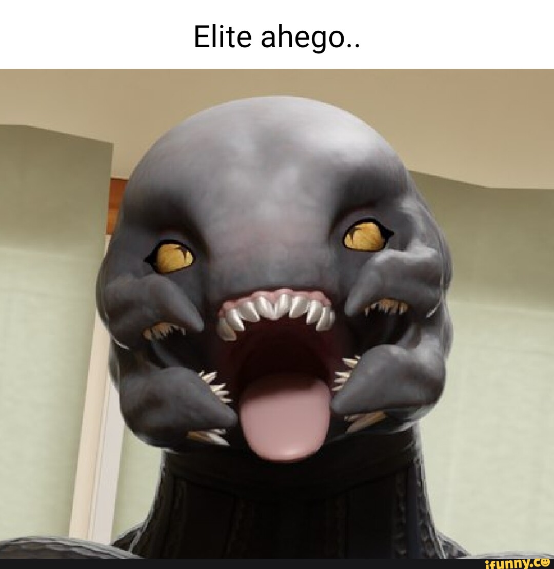 Ahego memes. Best Collection of funny Ahego pictures on iFunny