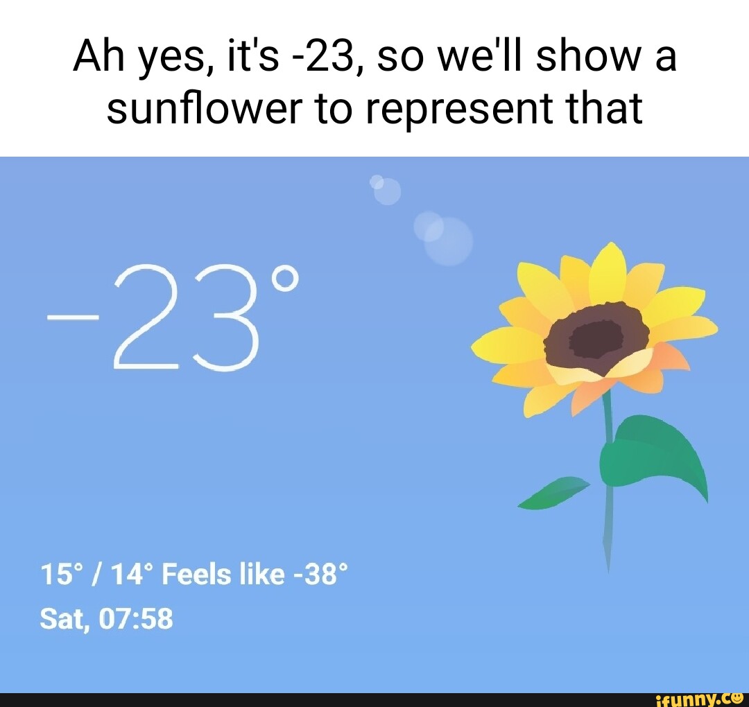 Sunflower memes. Best Collection of funny Sunflower pictures on iFunny