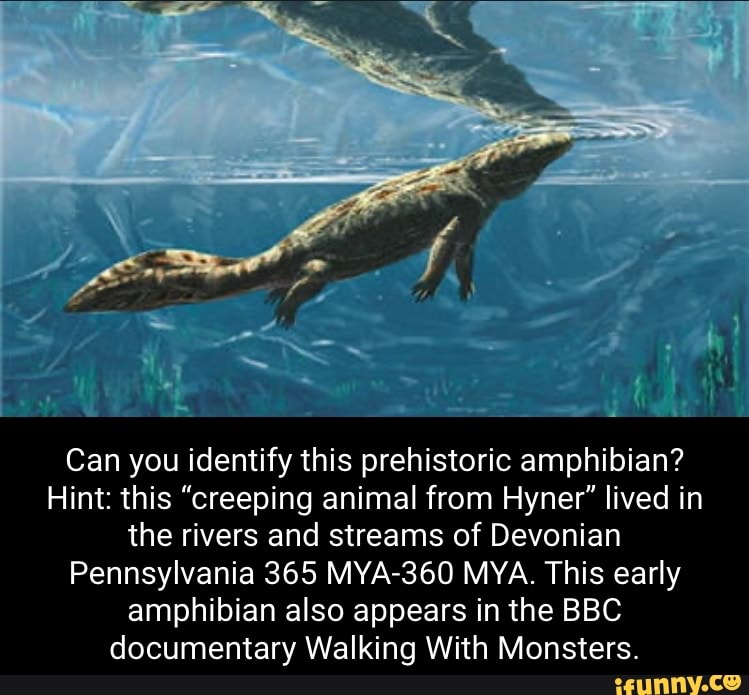 Can you identify this prehistoric amphibian? Hint: this "creeping ...