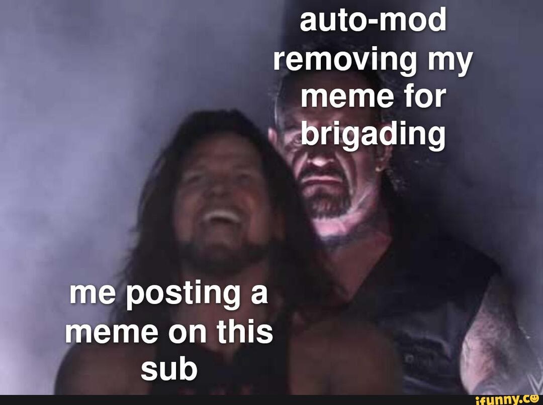 Auto-mod removing my meme for
