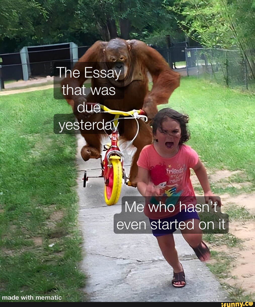 Mern memes. Best Collection of funny Mern pictures on iFunny