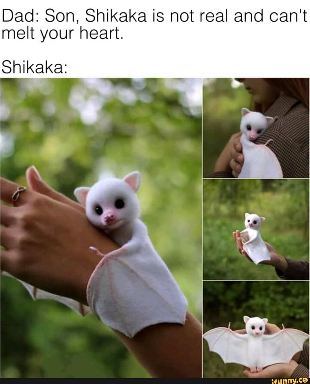 Shikaka memes. Best Collection of funny Shikaka pictures on iFunny