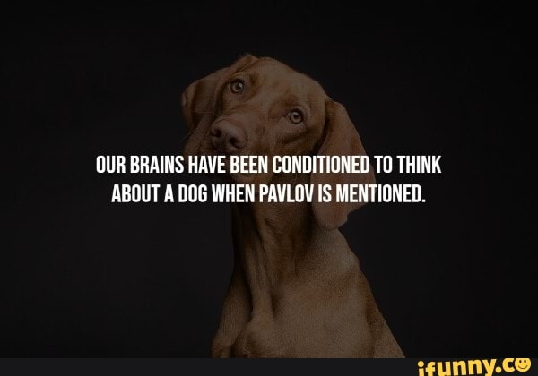 Pavlov memes. Best Collection of funny Pavlov pictures on iFunny