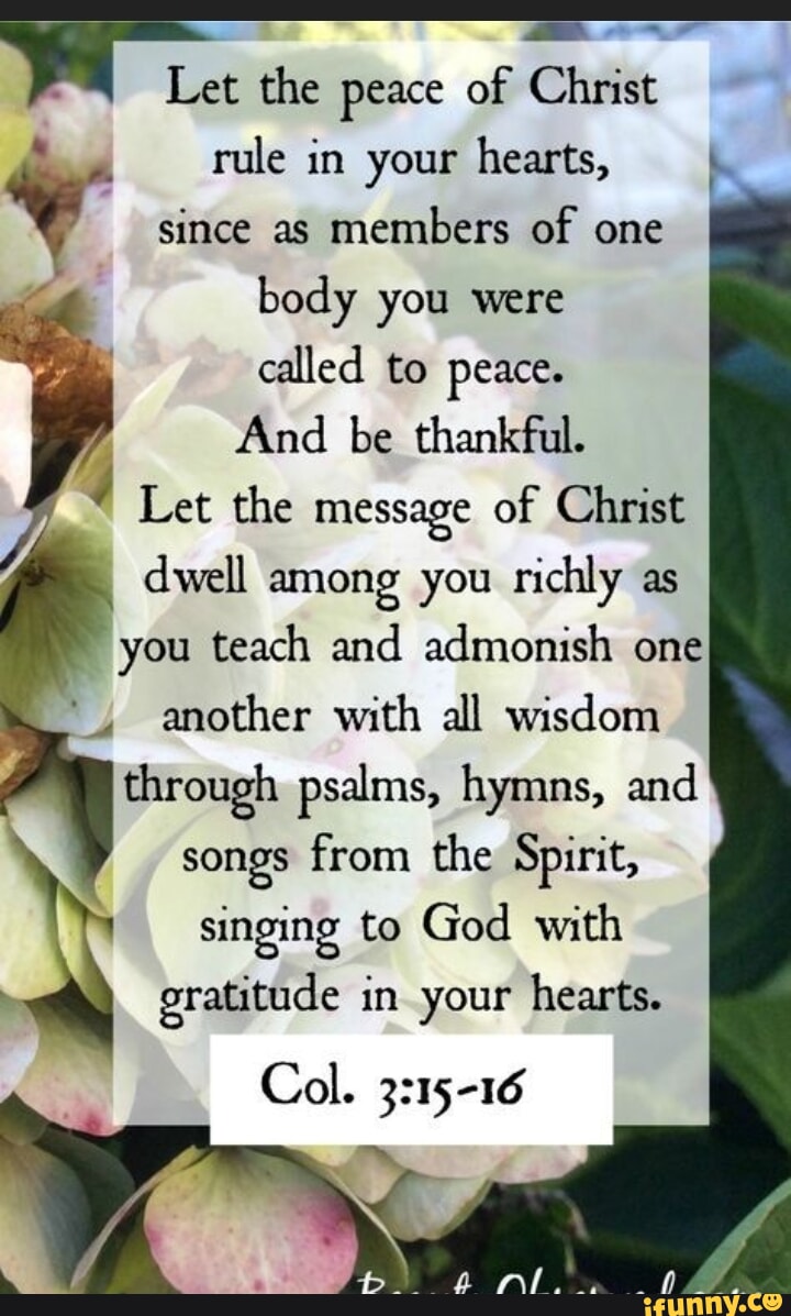 Admonish memes. Best Collection of funny Admonish pictures on iFunny