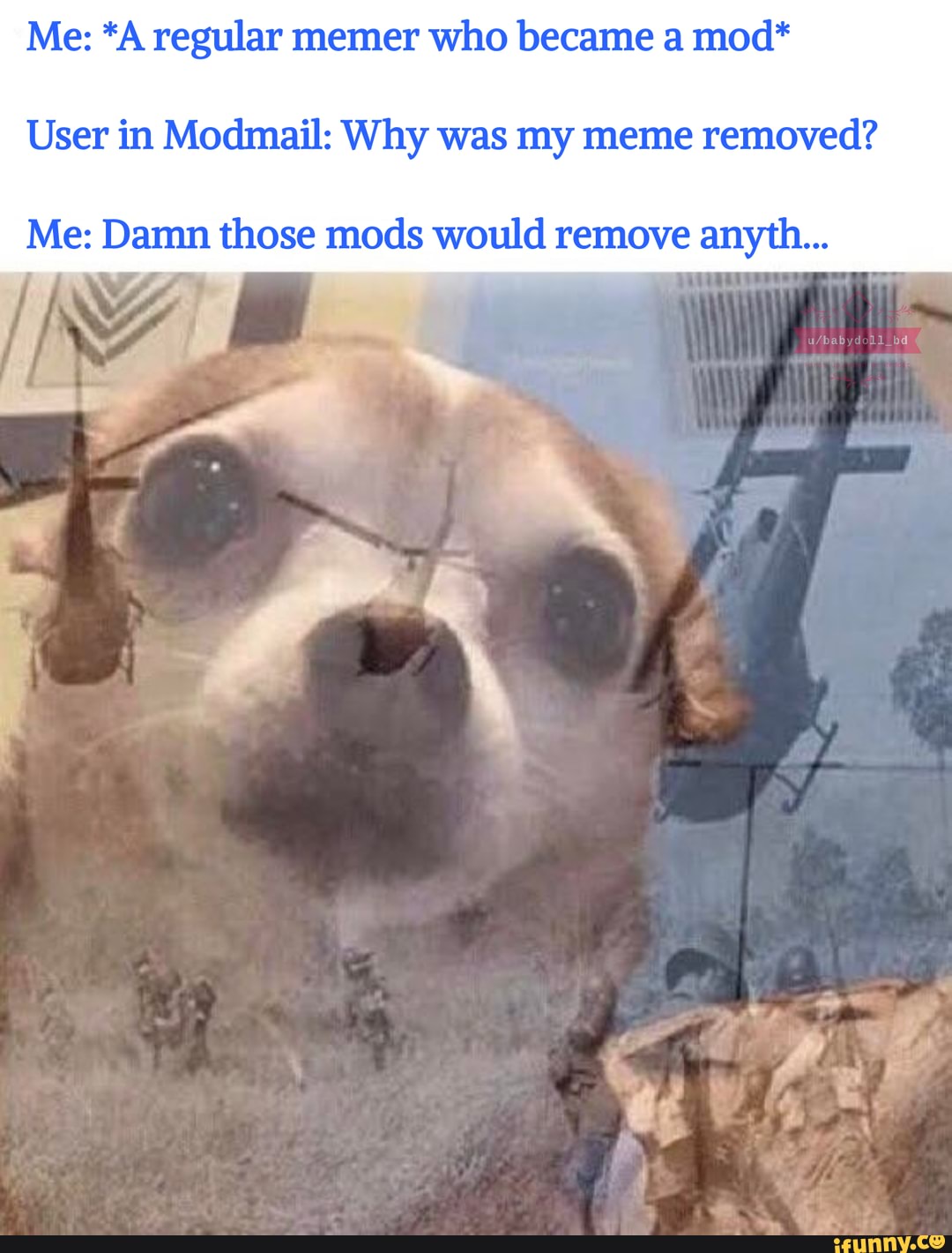 Me: *A regular memer who became a mod* User in Modmail: Why was my meme ...