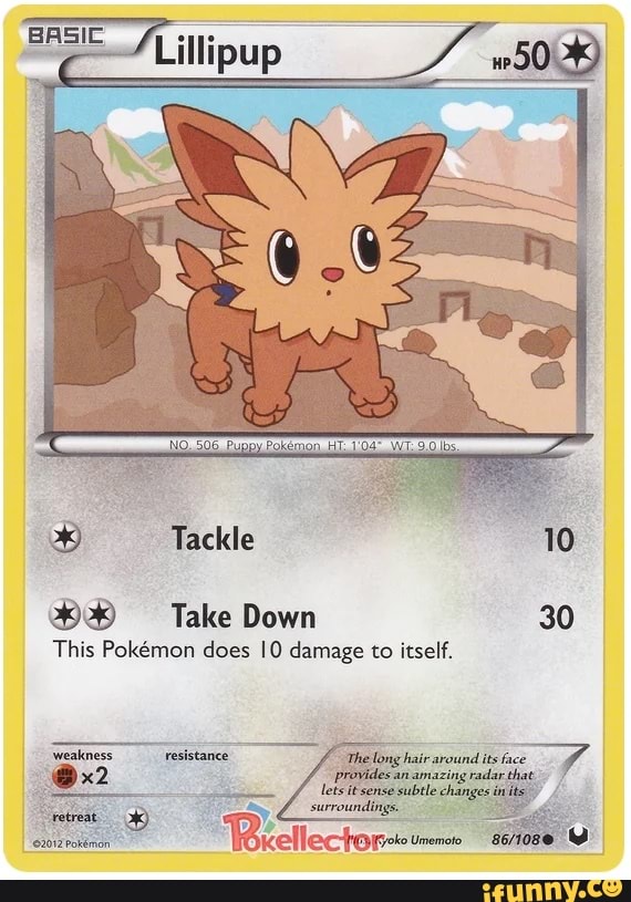 Pokemon Puppy