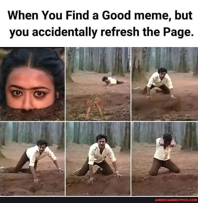 When You Find a Good meme, but you accidentally refresh the Page. +2 ...
