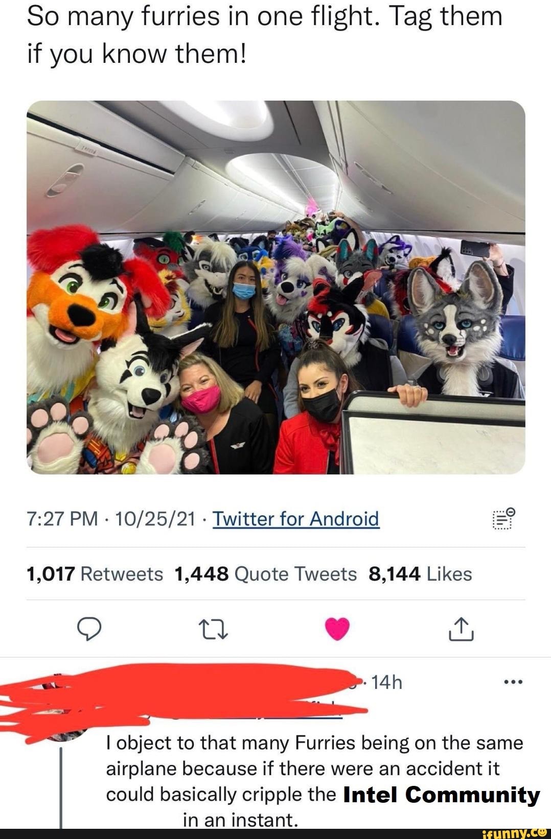 So many furries in one flight. Tag them if you know them! I PM ...