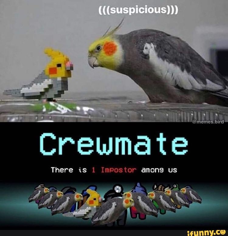 (((suspicious))) Crewmate There is I Impostor among us - iFunny