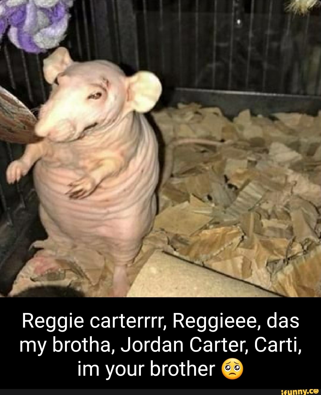 Carterrrr memes. Best Collection of funny Carterrrr pictures on iFunny