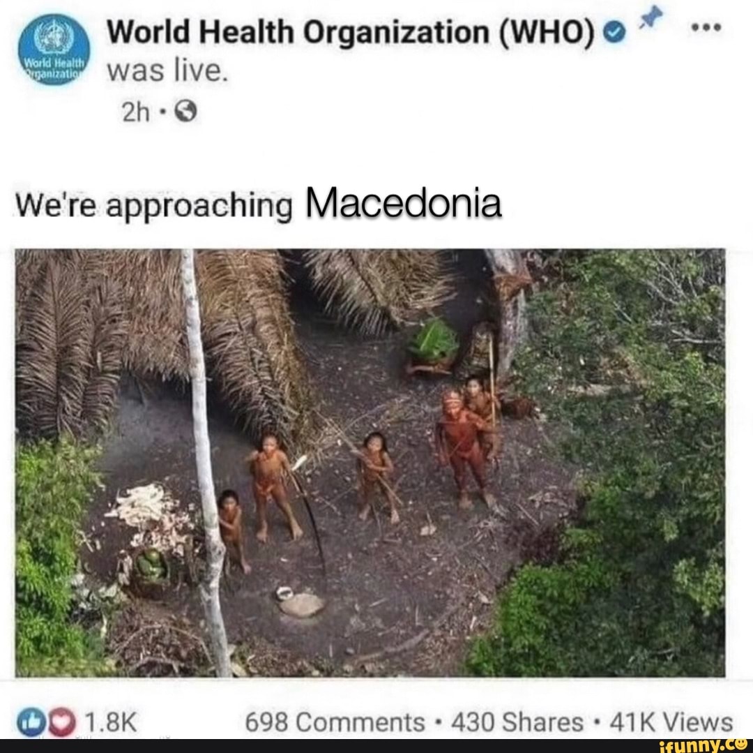 Monkeydonia memes. Best Collection of funny Monkeydonia pictures on iFunny