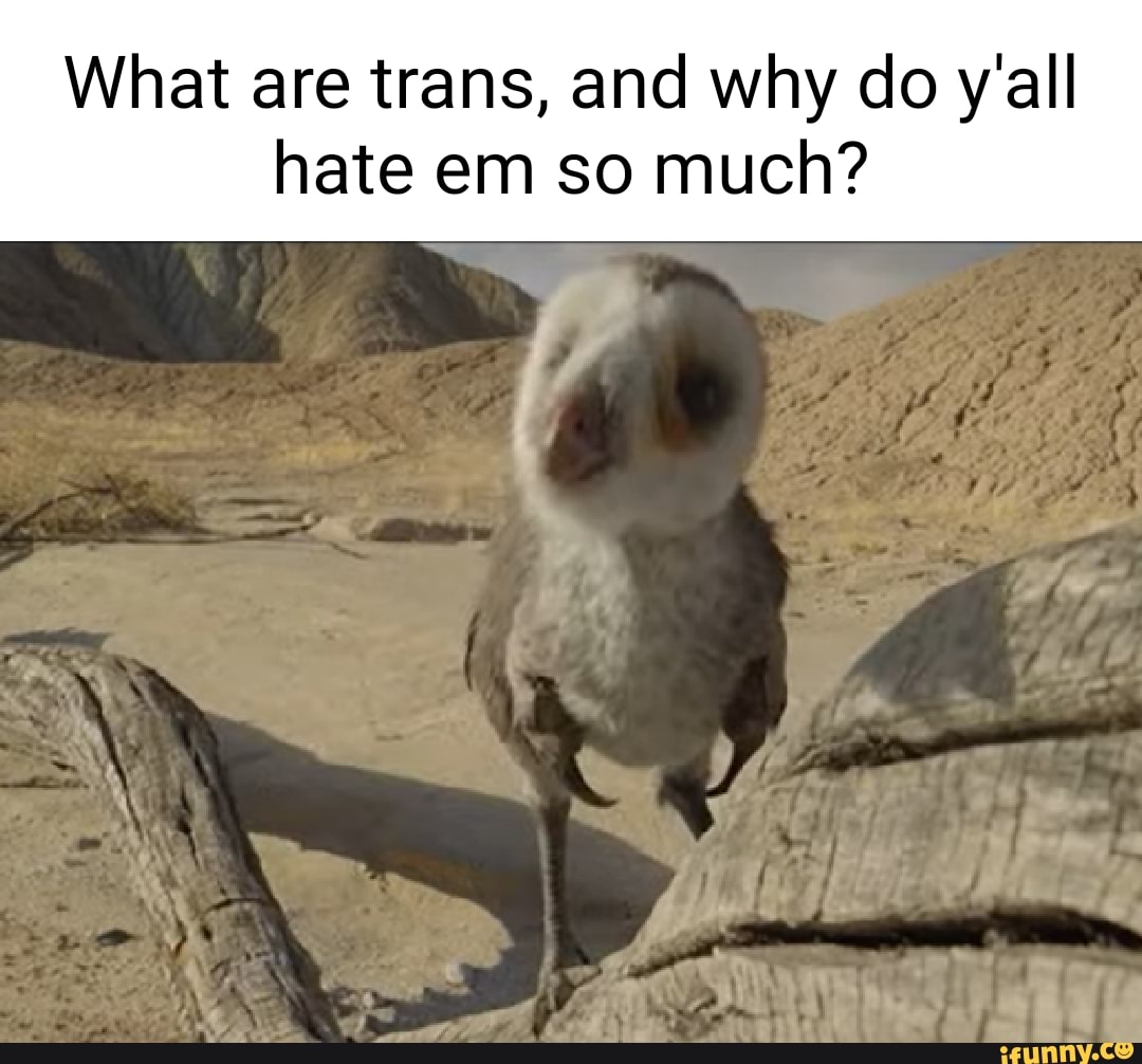 Mononykus memes. Best Collection of funny Mononykus pictures on iFunny