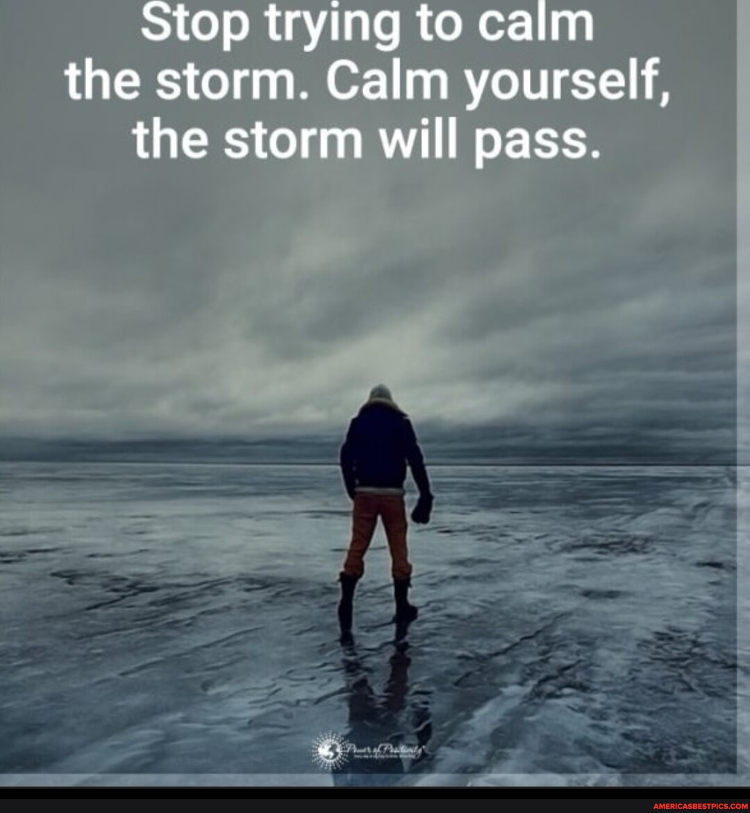 Stop trying to calm the storm. Calm yourself, the storm will pass ...