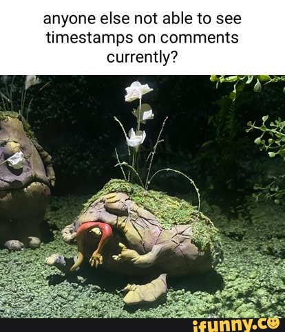 Timestamps memes. Best Collection of funny Timestamps pictures on iFunny