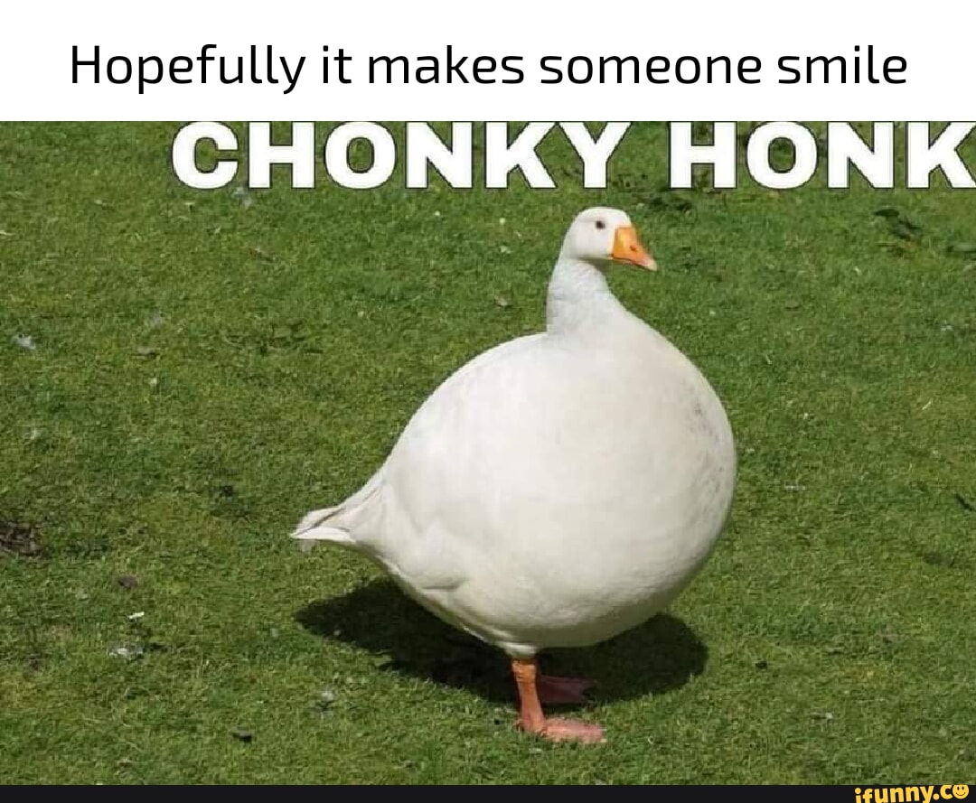 Honky memes. Best Collection of funny Honky pictures on iFunny