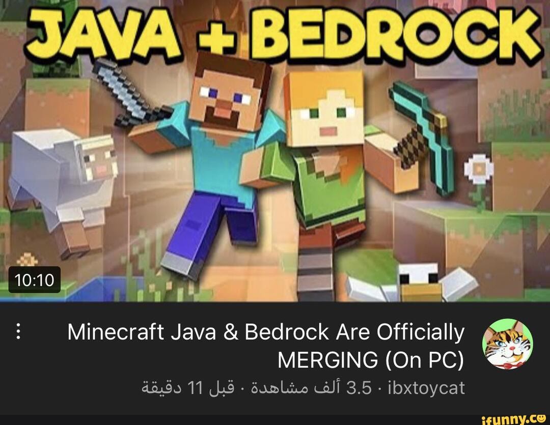 Ibxtoycat memes. Best Collection of funny Ibxtoycat pictures on iFunny
