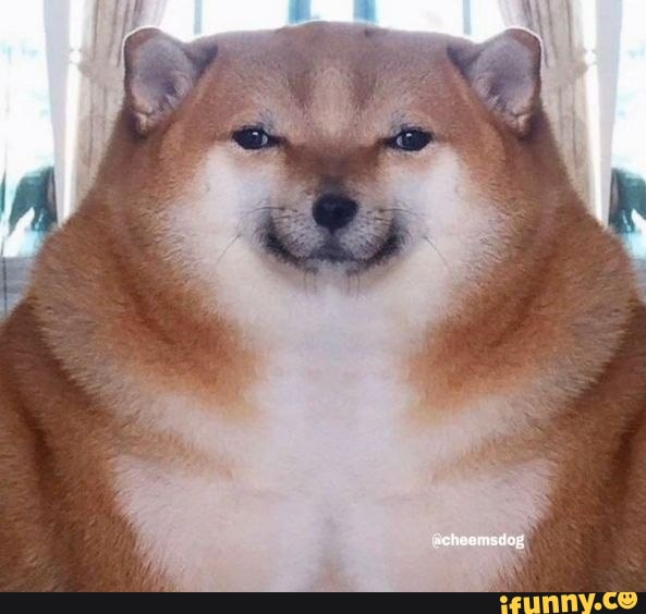 Cheemse memes. Best Collection of funny Cheemse pictures on iFunny