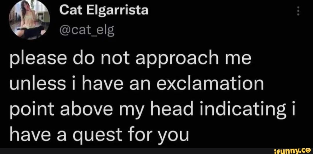 Cat Elgarrista please do not approach me unless have an exclamation ...