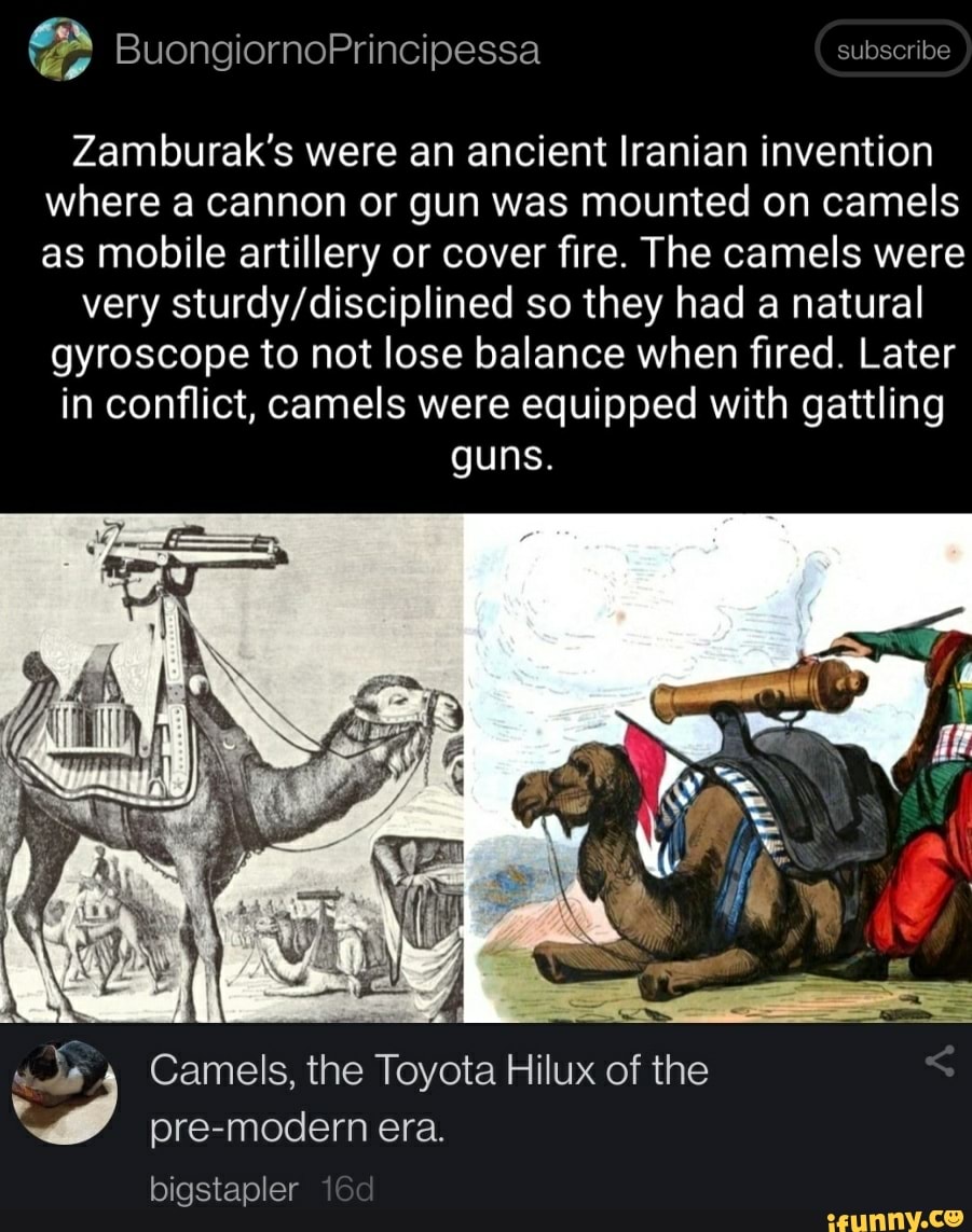 BuongiornoPrincipessa subscribe Zamburak's were an ancient Iranian ...