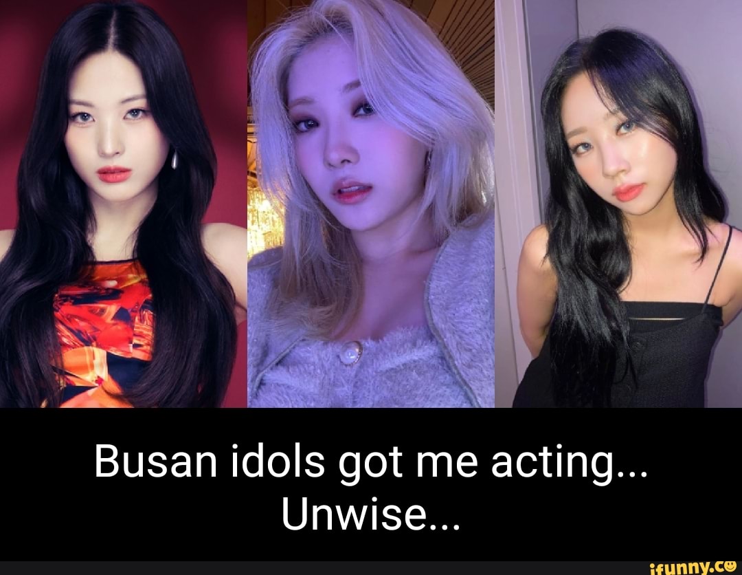 Busan memes. Best Collection of funny Busan pictures on iFunny