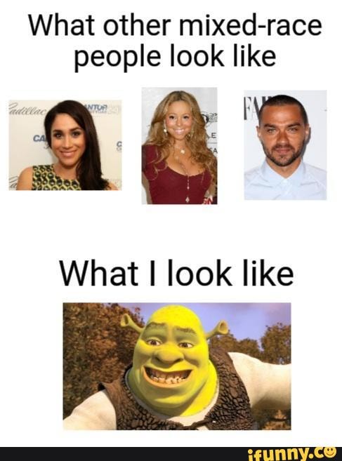 Mixed People Be Like Meme