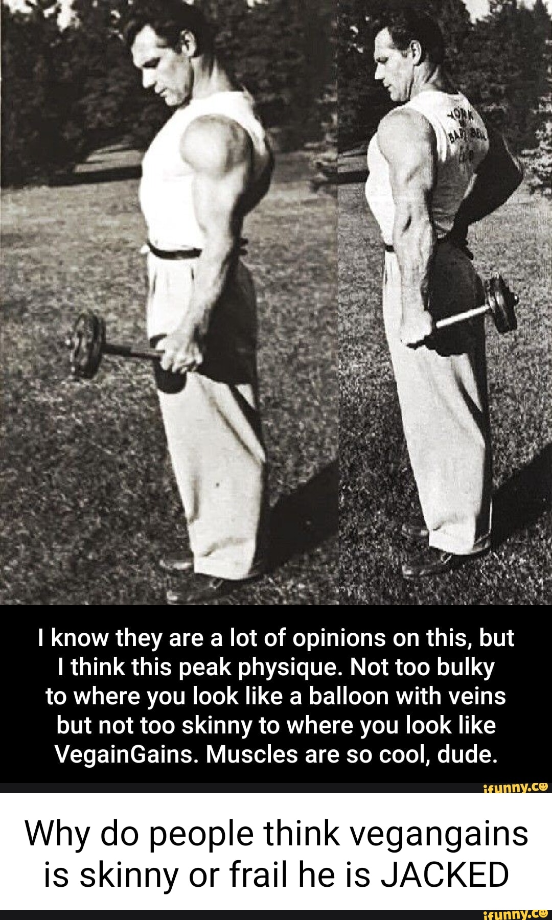 Bulky memes. Best Collection of funny Bulky pictures on iFunny