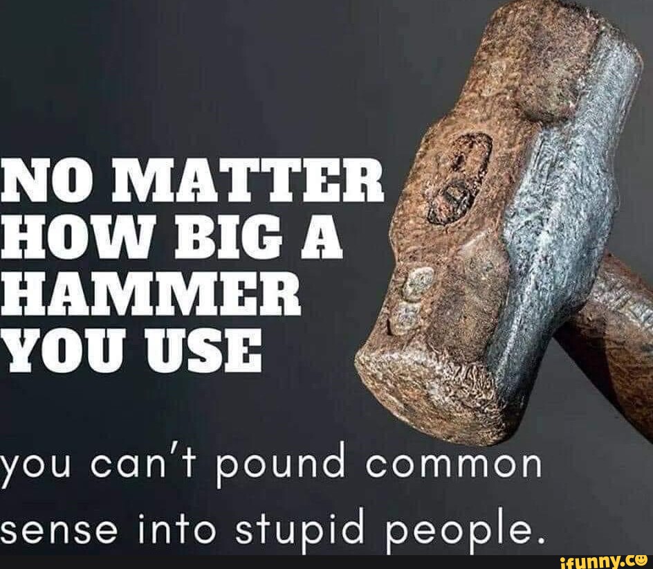 NO MATTER HOW BIG HAMMER YOU USE you cant pound common sense into ...