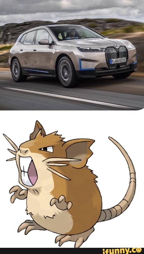 Ratata memes. Best Collection of funny Ratata pictures on iFunny