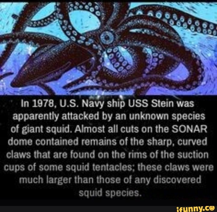 In 1978, U.S. Navy ship USS Stein was apparently attacked by an unknown ...