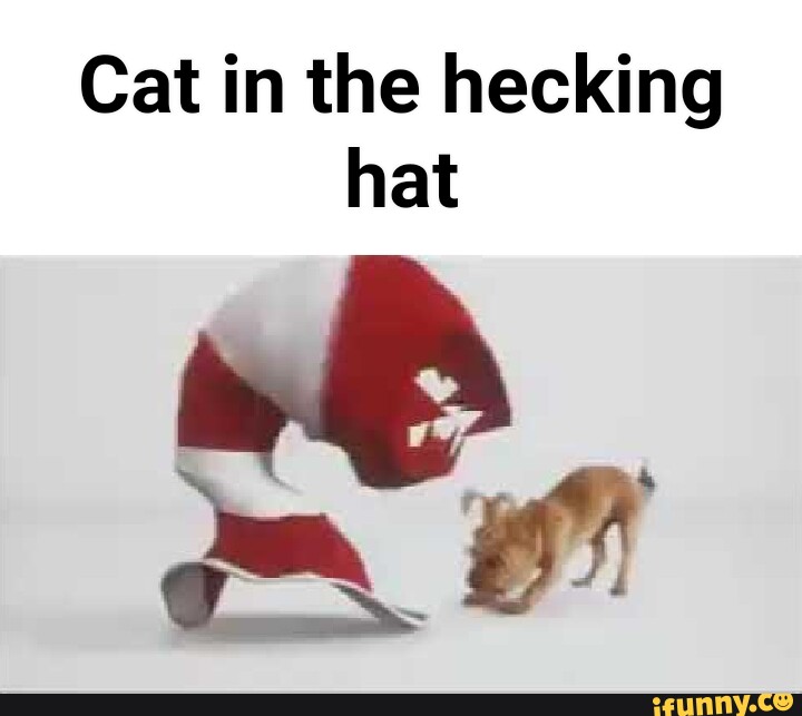 Cat in the hecking hat I - iFunny