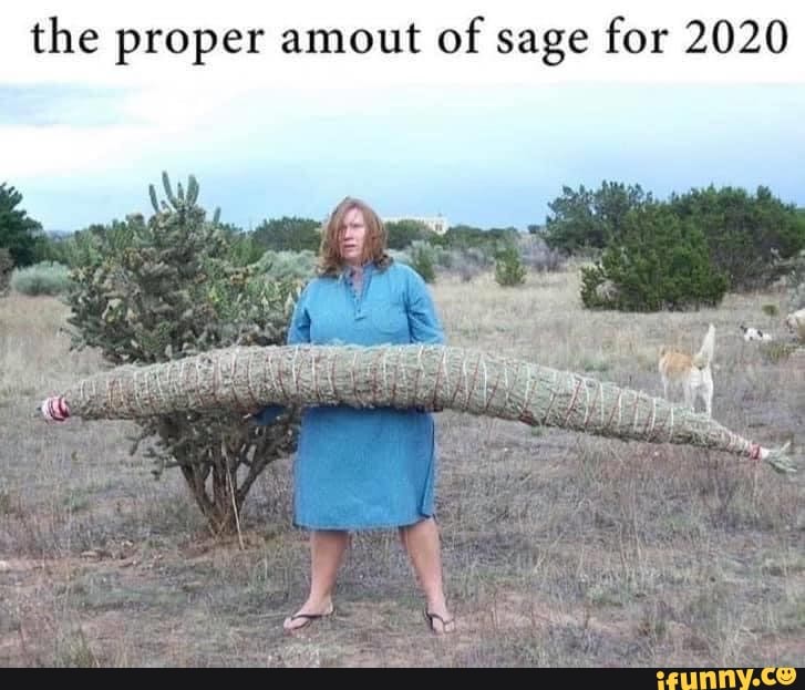 The proper amout of sage for 2020 - iFunny