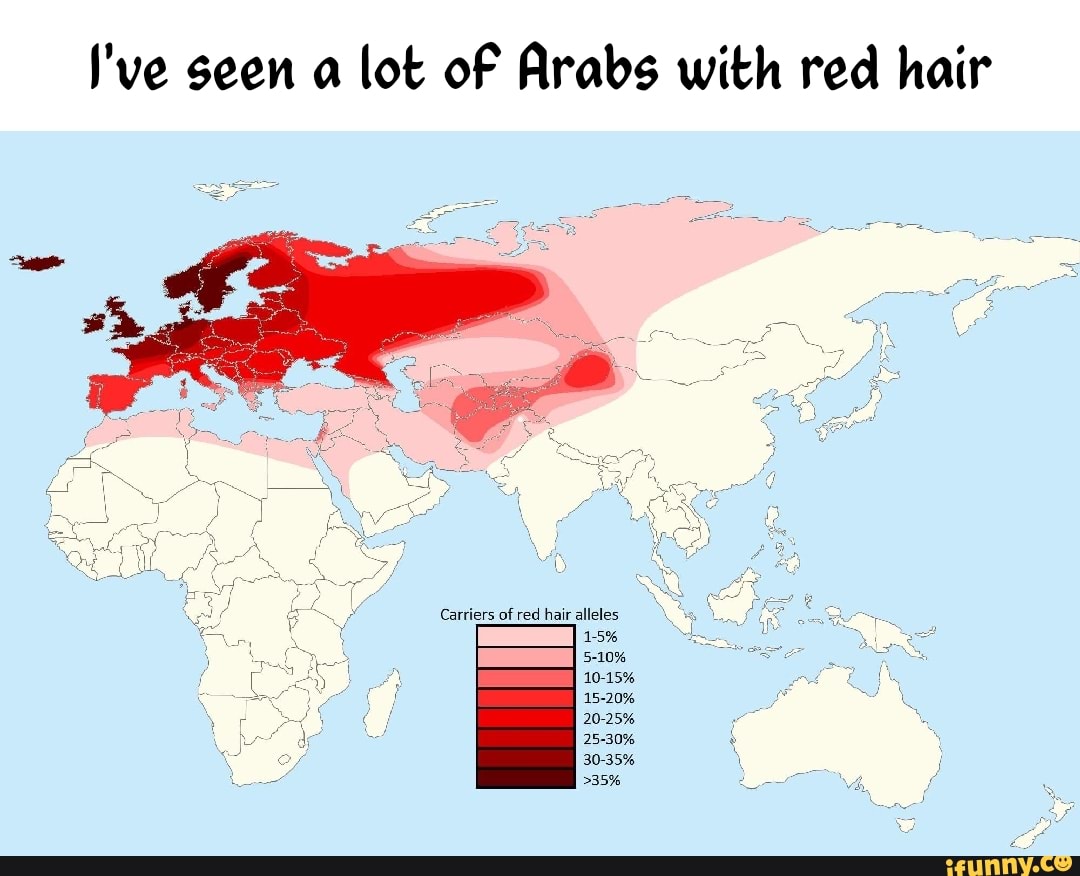 Alleles memes. Best Collection of funny Alleles pictures on iFunny