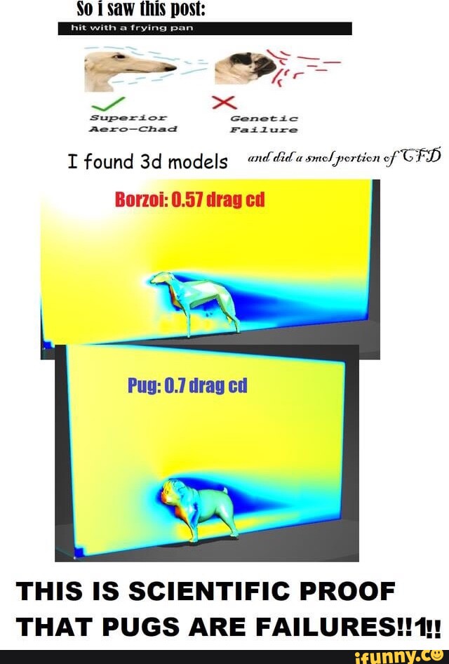 Video memes XSoxpuLJA by ExtantAxoIotI: 1 comment - seo.title